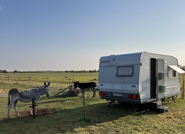 Traumwagen Auf Der Eselweide Am Zwenkauer See - Zwenkau