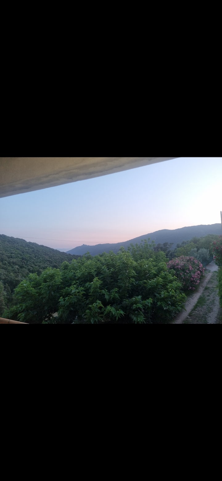 Maison - Propriano