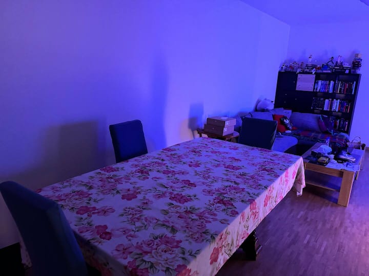 Bedroom In Morges Center - Morges