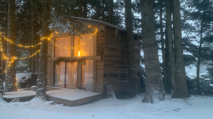 Petit Chalet Cosy Au Milieu Des Arbres - Le Chambon-sur-Lignon