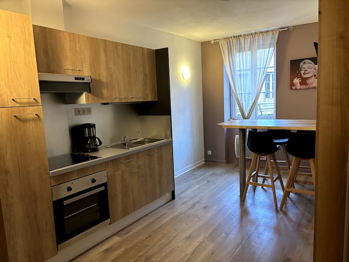 Appartement F2 Cosy à Deux Pas Du Centre Ville. - Brives-Charensac