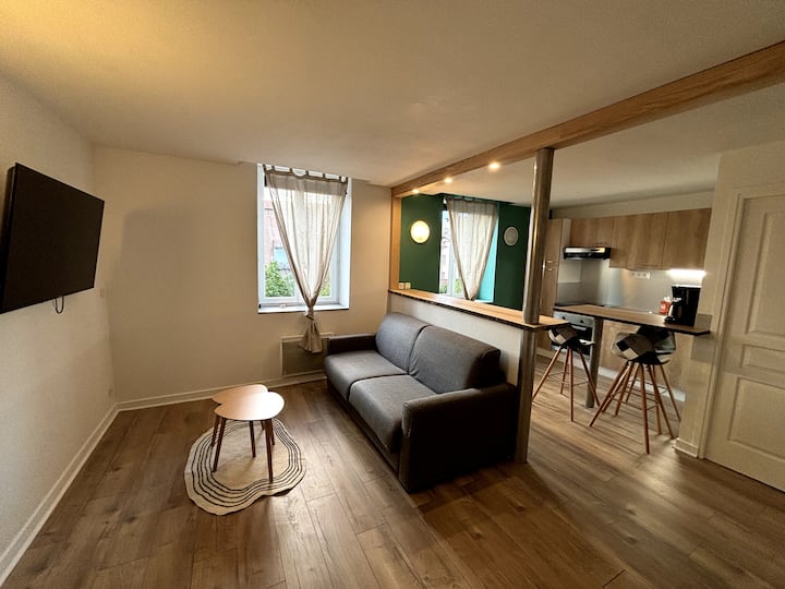 Appartement Studio Cosy En Plein Centre-ville. - Le Puy-en-Velay