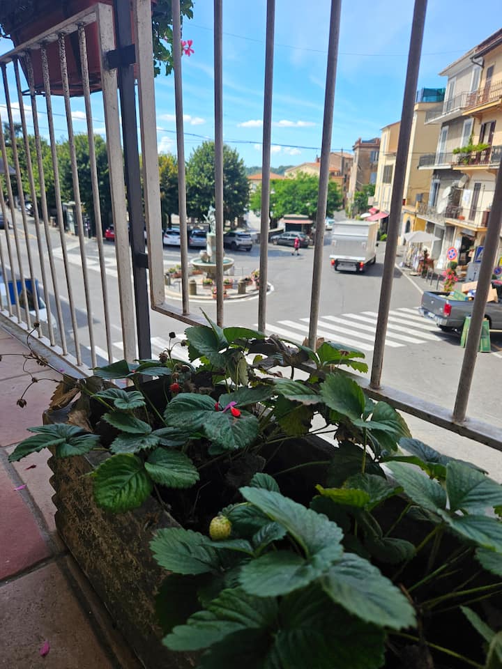 Holiday Home Virginia, Nemi - Marino