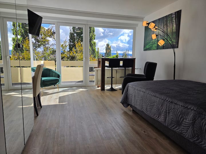 Charmantes City-apartment Mit Panoramablick - Schwetzingen