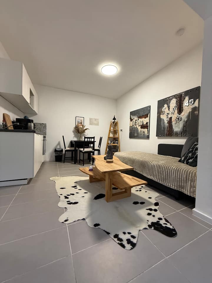 Zentrale Citywohnung Mit Küche & Privatem Zugang - Sarrebruck