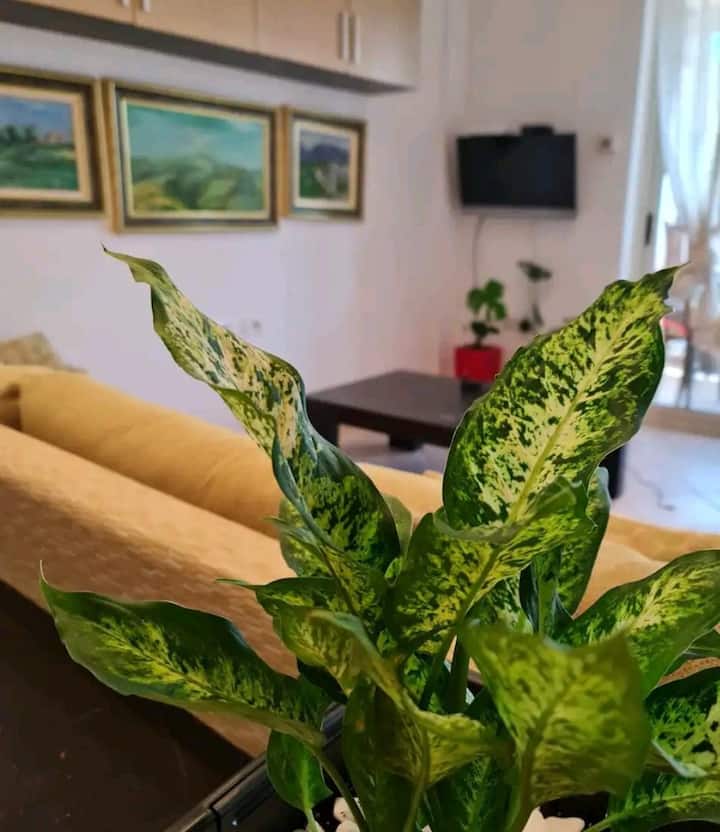 City Center Apartment 7 At Pazari I Ri - Tirana