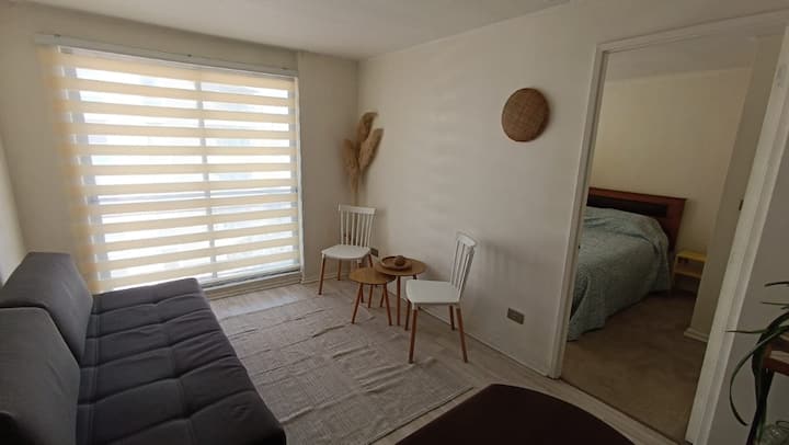 Disfruta De La Cercanía A Movistar Arena - Santiago