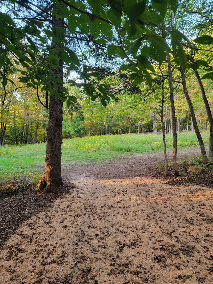 Forest Platform Campsite - Brattleboro, VT