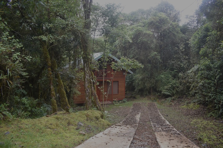 El Bosque De La Danta: Cloud Forest Cabin - 
