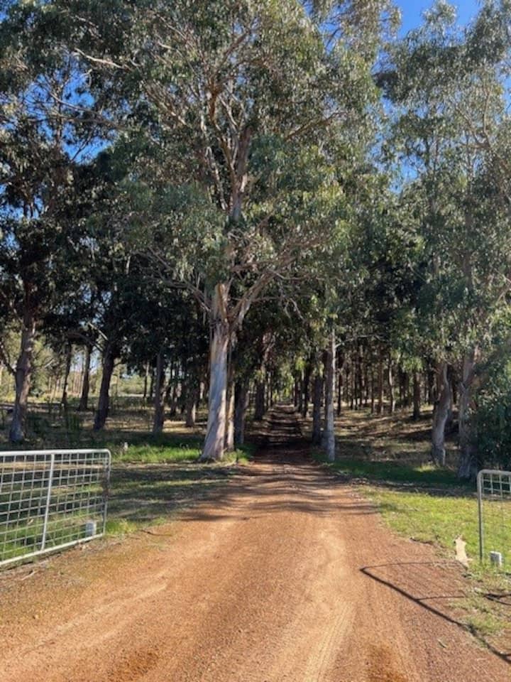 Tall Timbers Cottage Of Pink Lake - Esperance