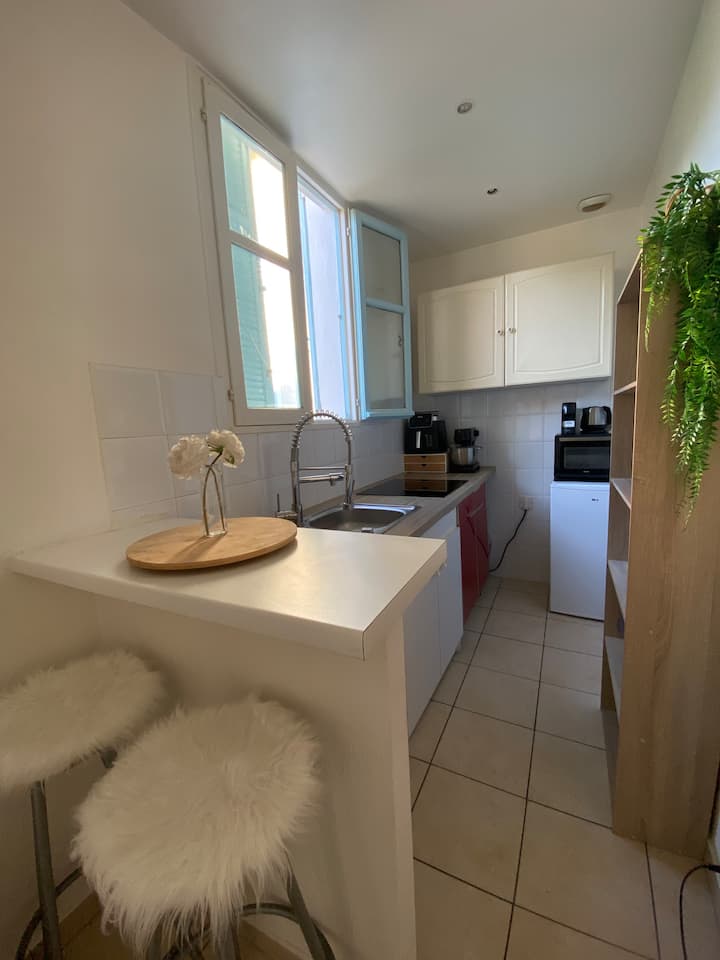 Charmant Studio Terrasse, 10 Min De La Gare à Pied - Mouans-Sartoux