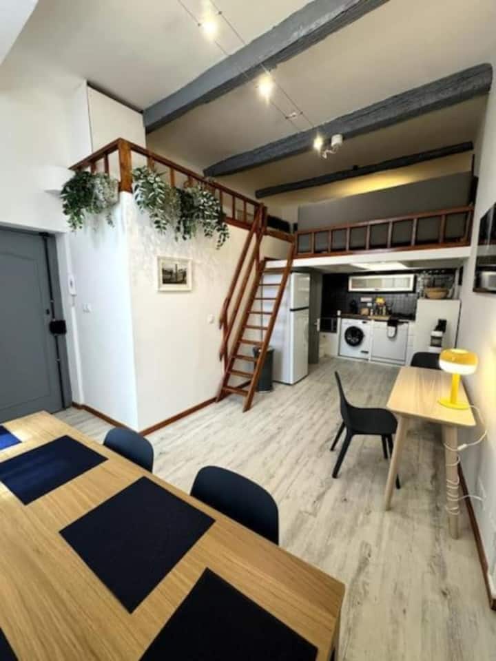 T3 Clim Avec Charme Et Mezzanines - Cabriès