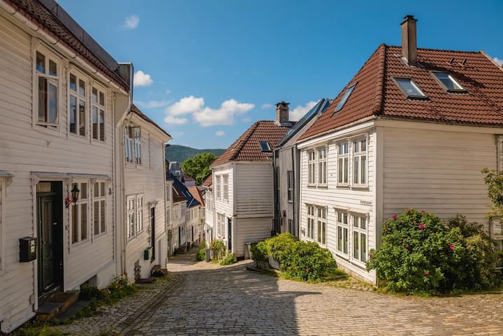Modern And Historic Apartment 250m From Bryggen - Bergen
