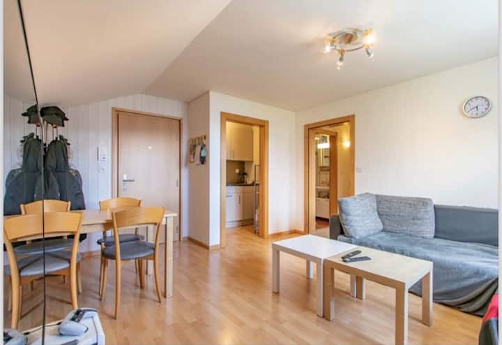Ruhige Dachwohnung Mit Aussicht In Ried-brig - Riederalp