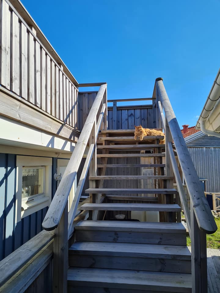 Västkustens Pärla - Göteborg