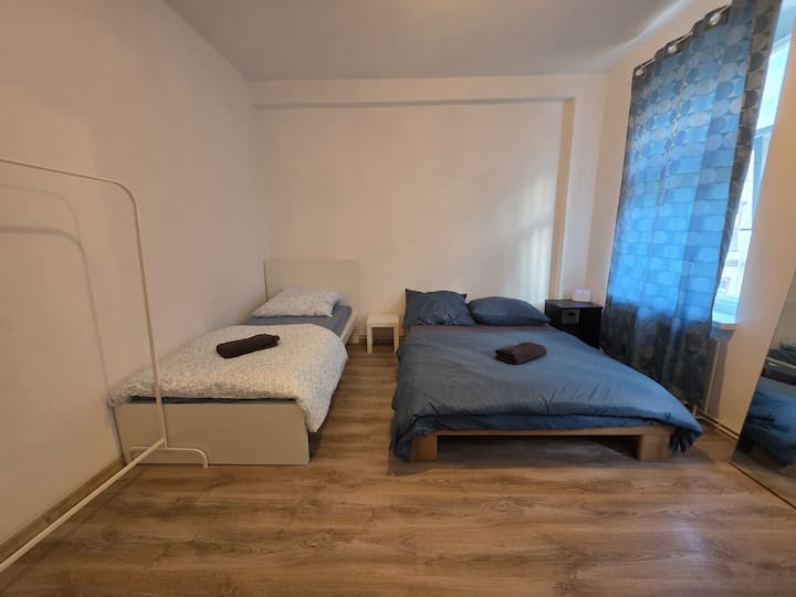 Ariprop Central Apartment In Freiberg - Freiberg