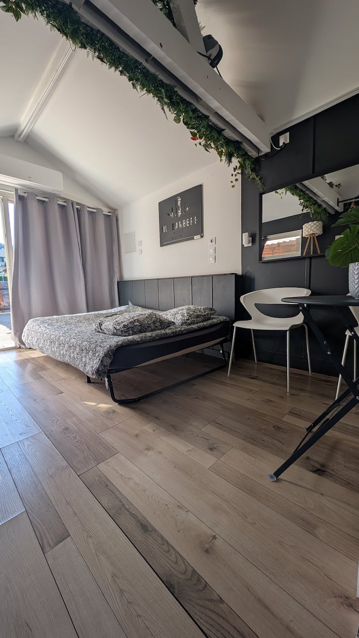 Chambre Salle De Bain Et Toilettes Privatives - Chambéry