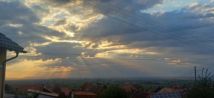Traumblick Südpfalz - Gleisweiler