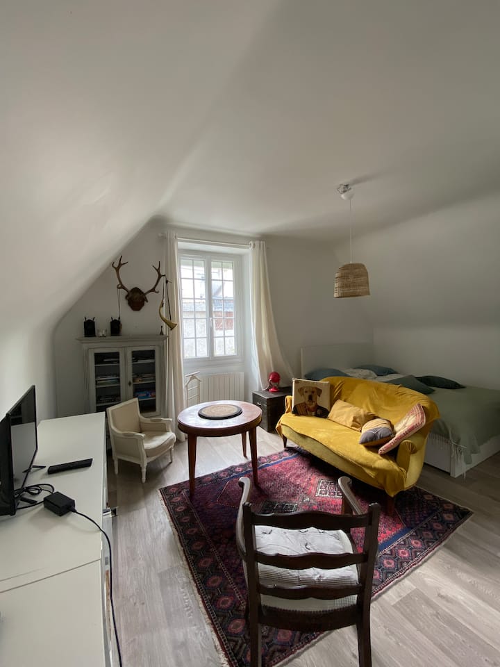 Studio Hyper Centre Angers - Angers