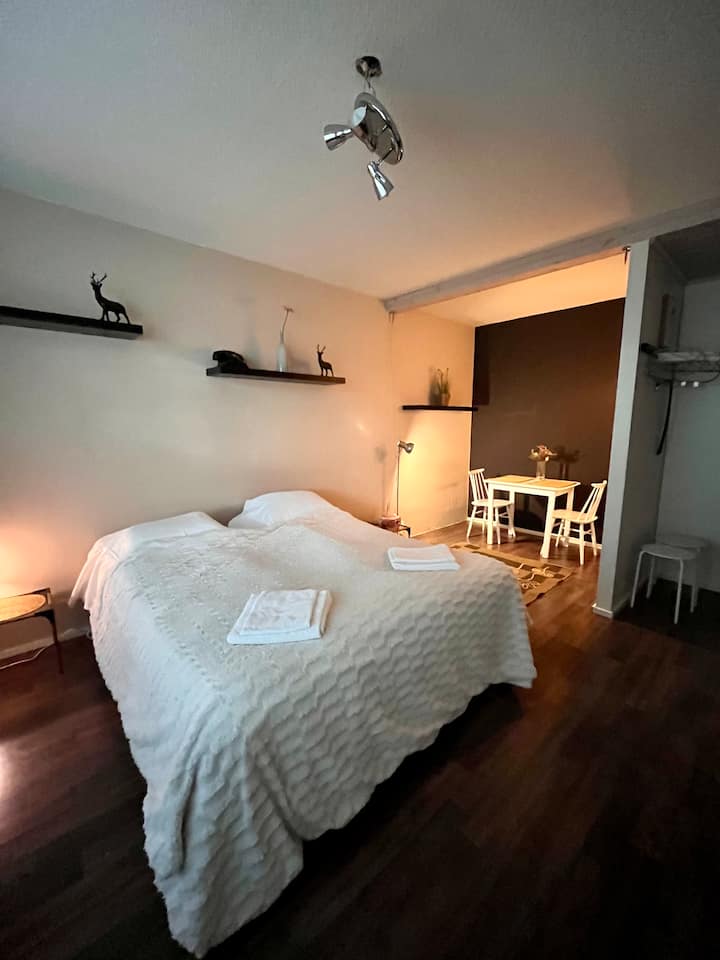 Joensuun Keskustayksiö, Parveke, Wifi Ja Parkki - Joensuu