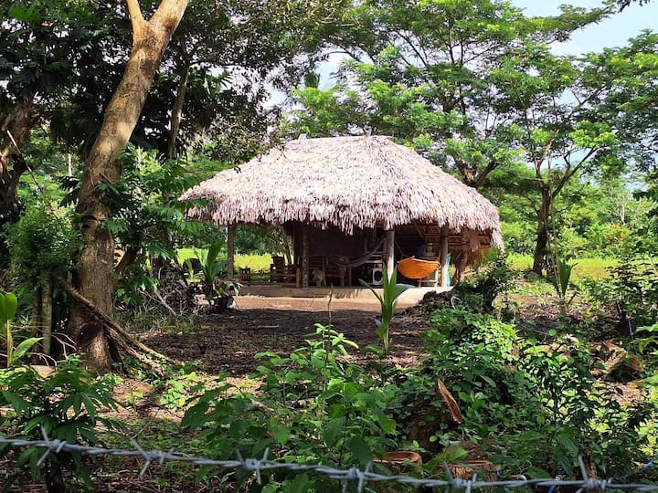 Free Lodging And Stay In A Humble Bahay Kubo - Nabua