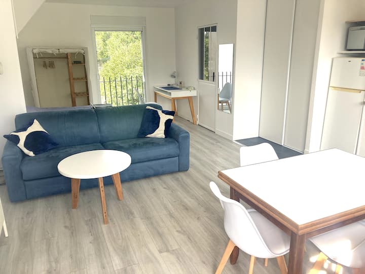 Grand Studio Lumineux De 38 M² - Tours