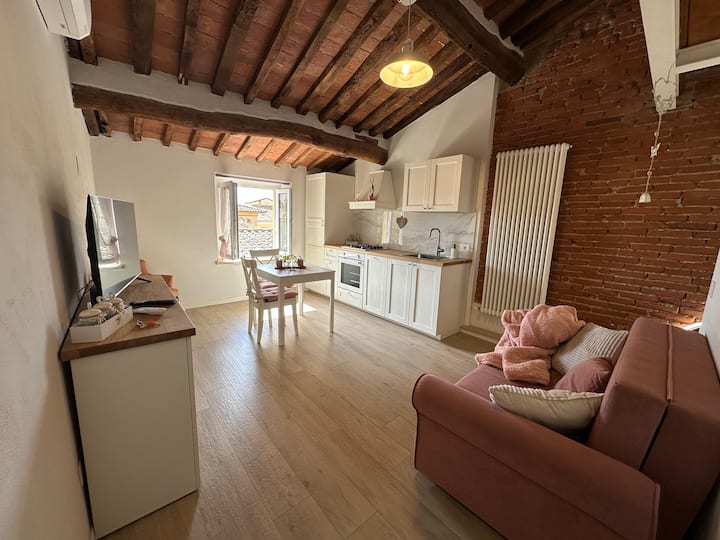 Attic Room Serena - Pietrasanta