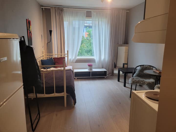 Studio Apt W/ Kitchen & Bath – 5 Min To Metro - Oslo