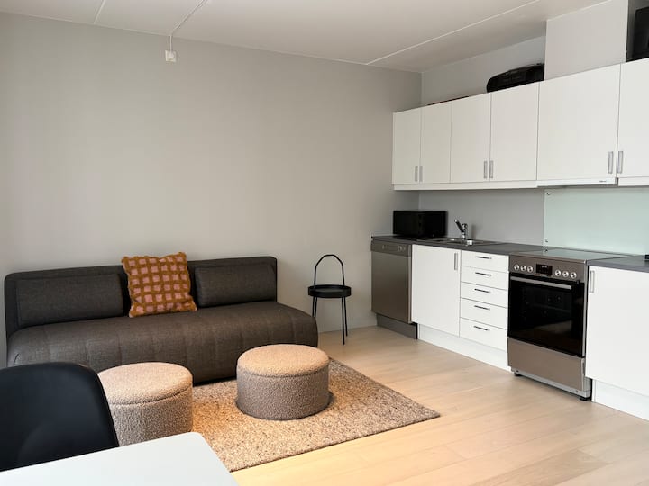 Midt I Oslo - Lys Og Moderne Leilighet Med Balkong - Oslo