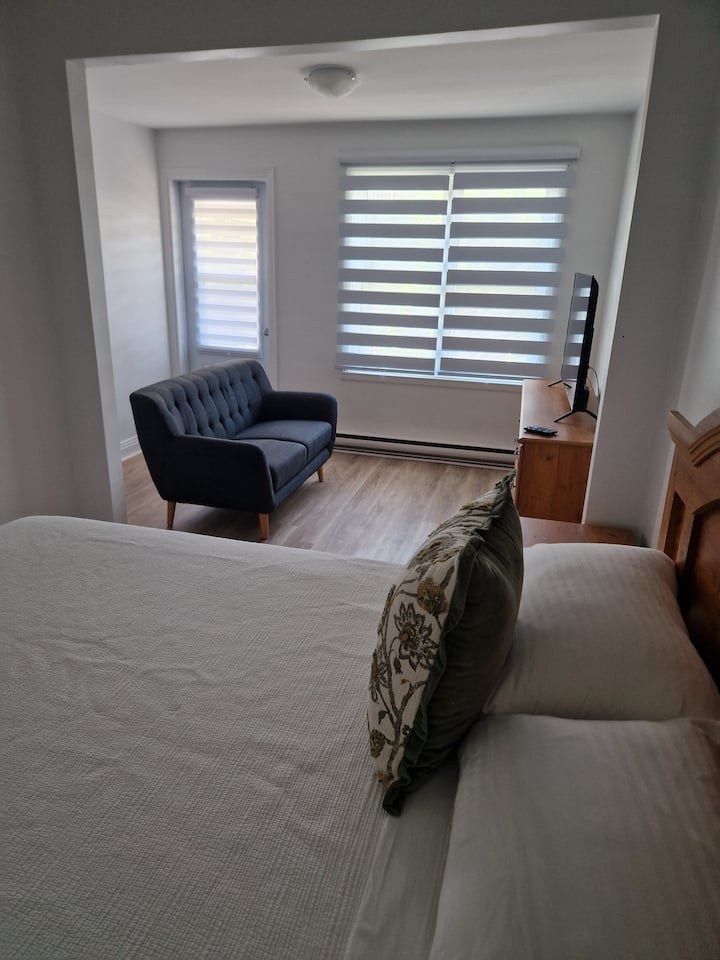 Charming Rosemont 1st Floor 3-1/2 Apartment - Montréal, QC