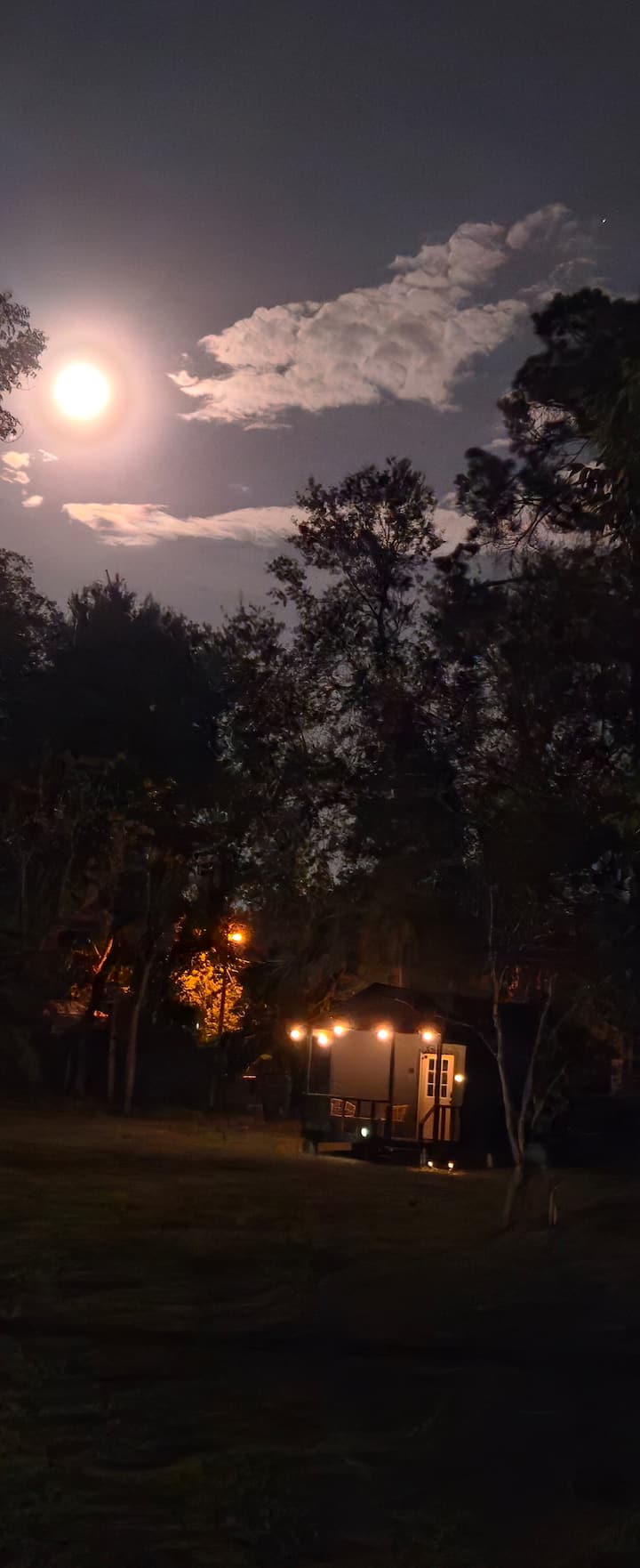 Alvin With All Serenity And Bliss And Close Dearly - 리버풀