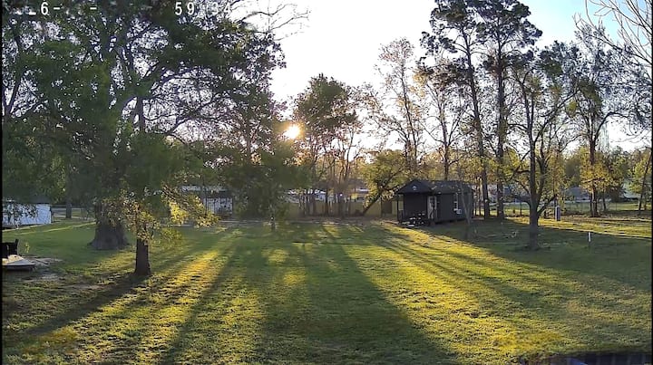 (Pecan)alvin With All Serenity- Up To 5ppl - Bayou Wildlife Zoo, Alvin