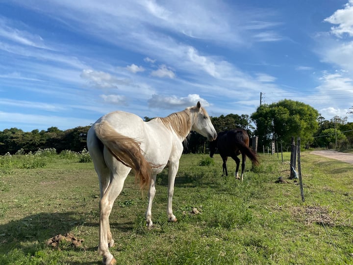 Refugio De Campo En Los Cardales - Campana