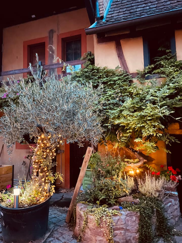 Studio - Cour Alsacienne, Strasbourg, Obernai - Wasselonne