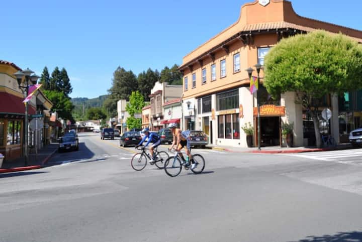 Room Near San Anselmo/fairfax Border - Stinson Beach, CA