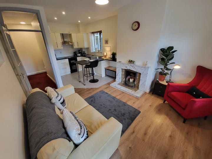 Quiet Retreat In Bustling Heart Of Dublin! - Dublin