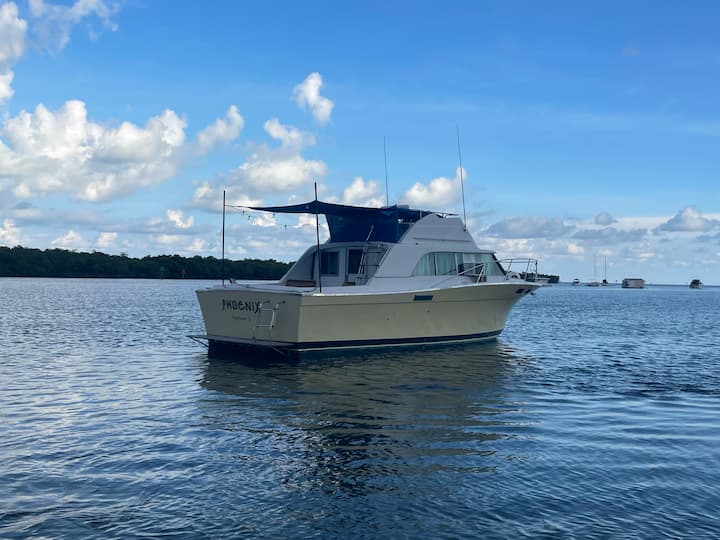 Super-cozy Boat In Key West! - Key West, FL