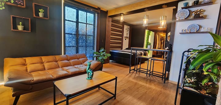 Loft De Lujo / Aeropuerto T1, T2 / Estadiognp - Ecatepec de Morelos