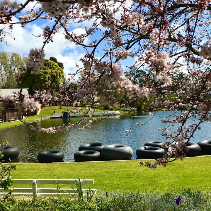 Fontys Pool Cottage - Manjimup