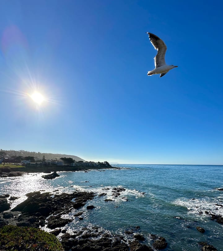 Serene Guesthouse With Ocean Views And King Bed - Cambria, CA