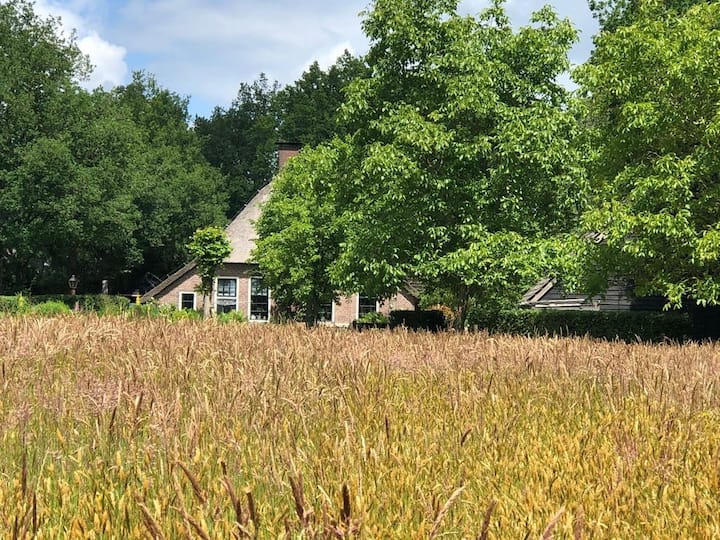 Froukjes Erf - Drenthe