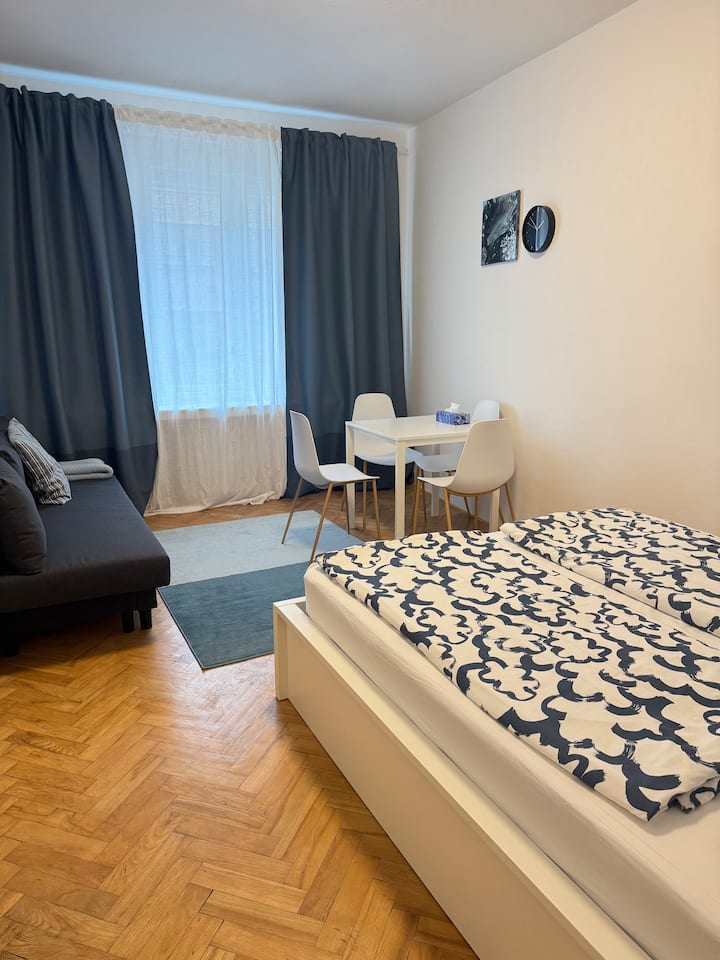 New City Center Flat- With 2 Bedrooms - Prague