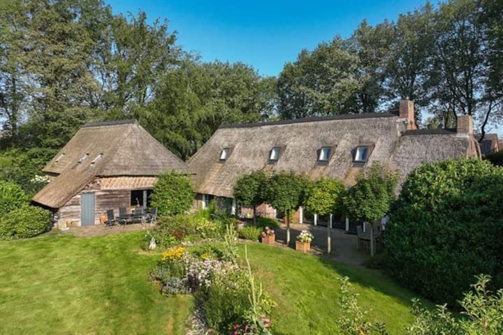 Motherland Bedrooms - Assen