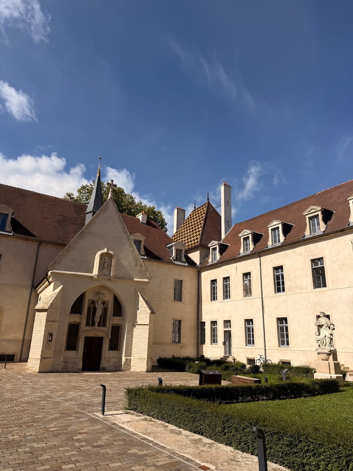 Au Cœur D’un Monument Historique-cité Gastronomie - Dijon