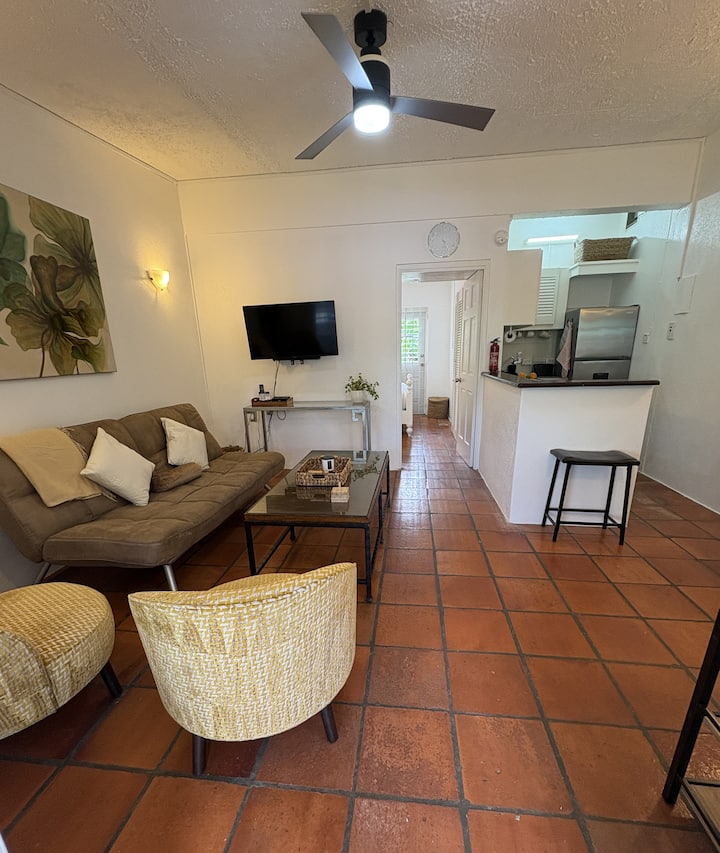 Cute And Comfy 1 Bedroom Flat In Great Location - Barbados