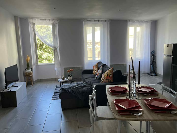 Appartement Dans Le Centre-ville D’évian-les-bains - Évian-les-Bains