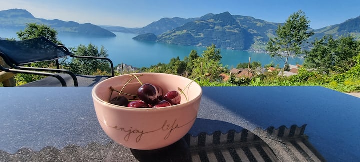 Bellarosa: Baccara - Gersau