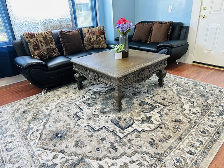 Bold Of Beauty - Buffalo, NY