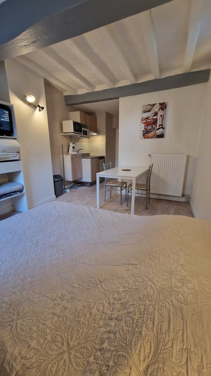 Le Petit Quai#studio#site Historique - ibis Styles Chinon