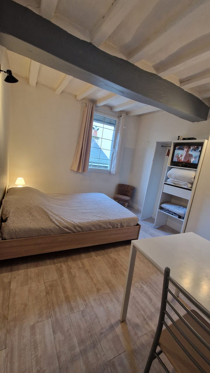 Le Petit Quai#studio#site Historique - Chinon